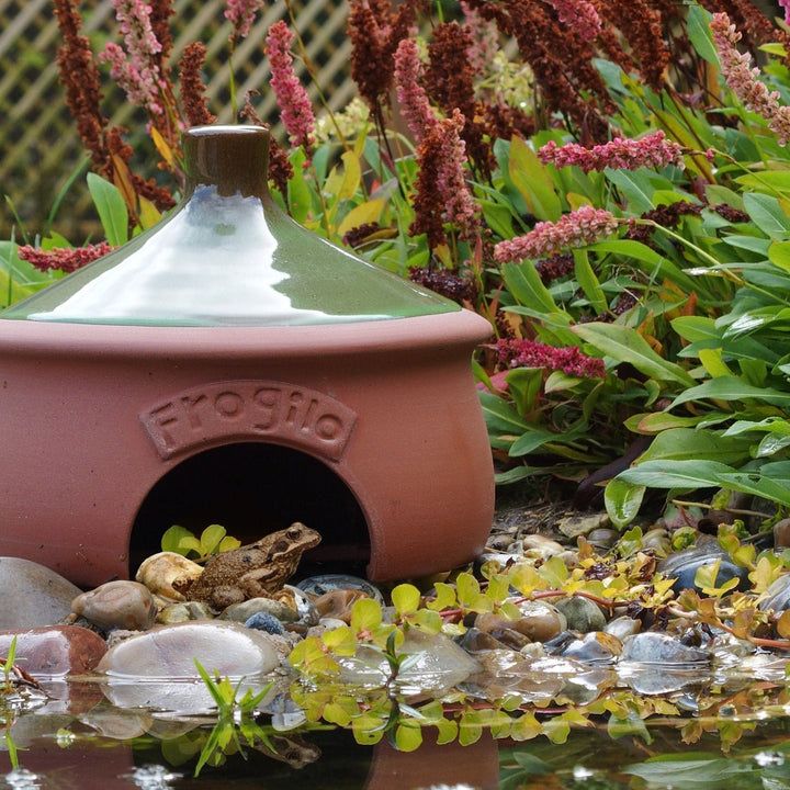 Frogs and Toads - The Irish Gardener Store